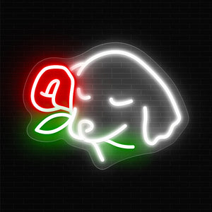 Custom Spring Neon Signs | Lamomo Neon